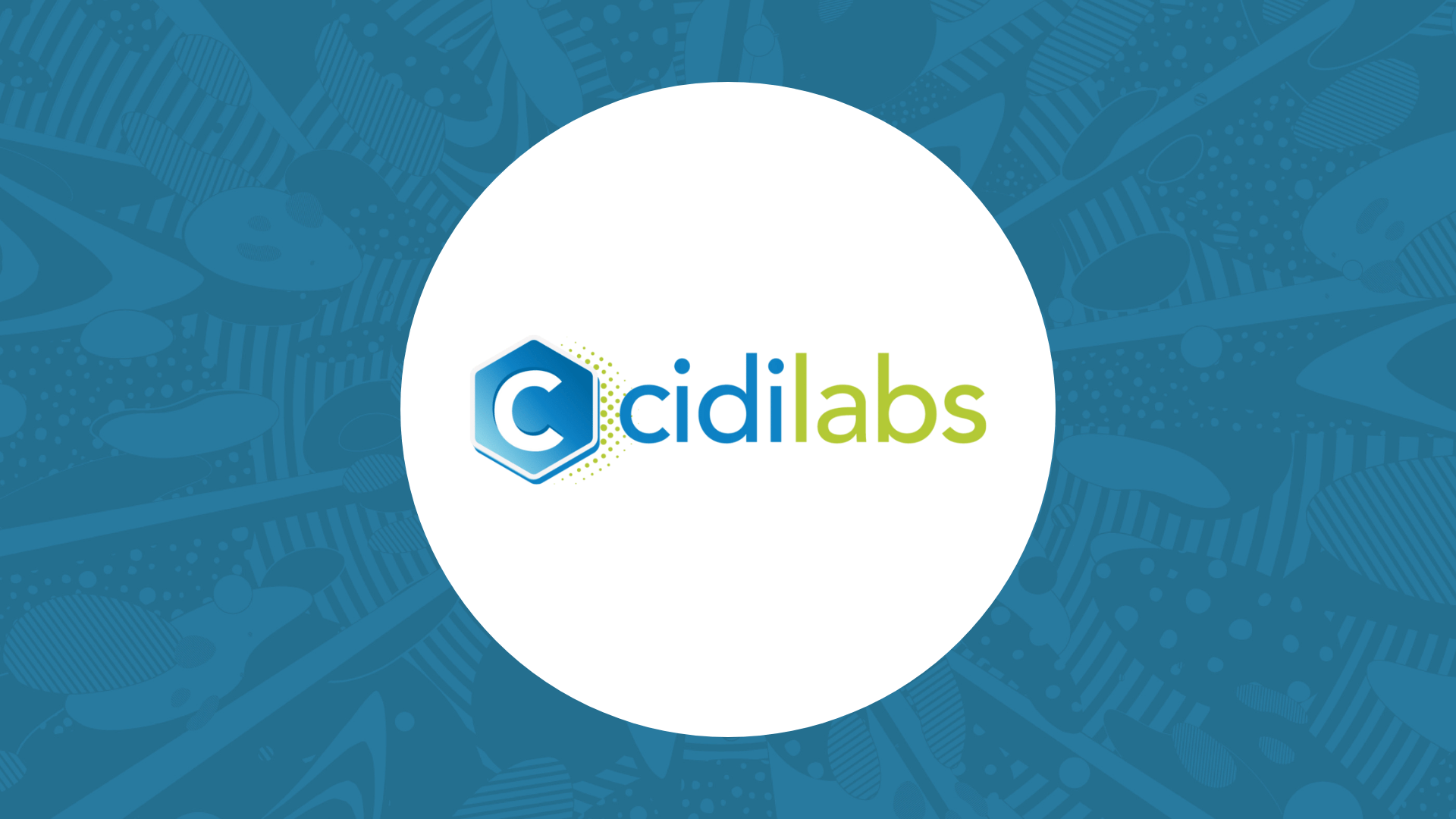 Accessibility Takes a Village: How Cidi Labs Tools Help Everyone Play a Part | Instructure