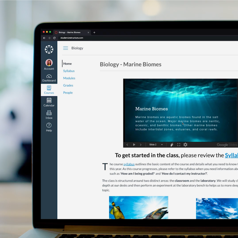 Google + Canvas = Better Together - APAC